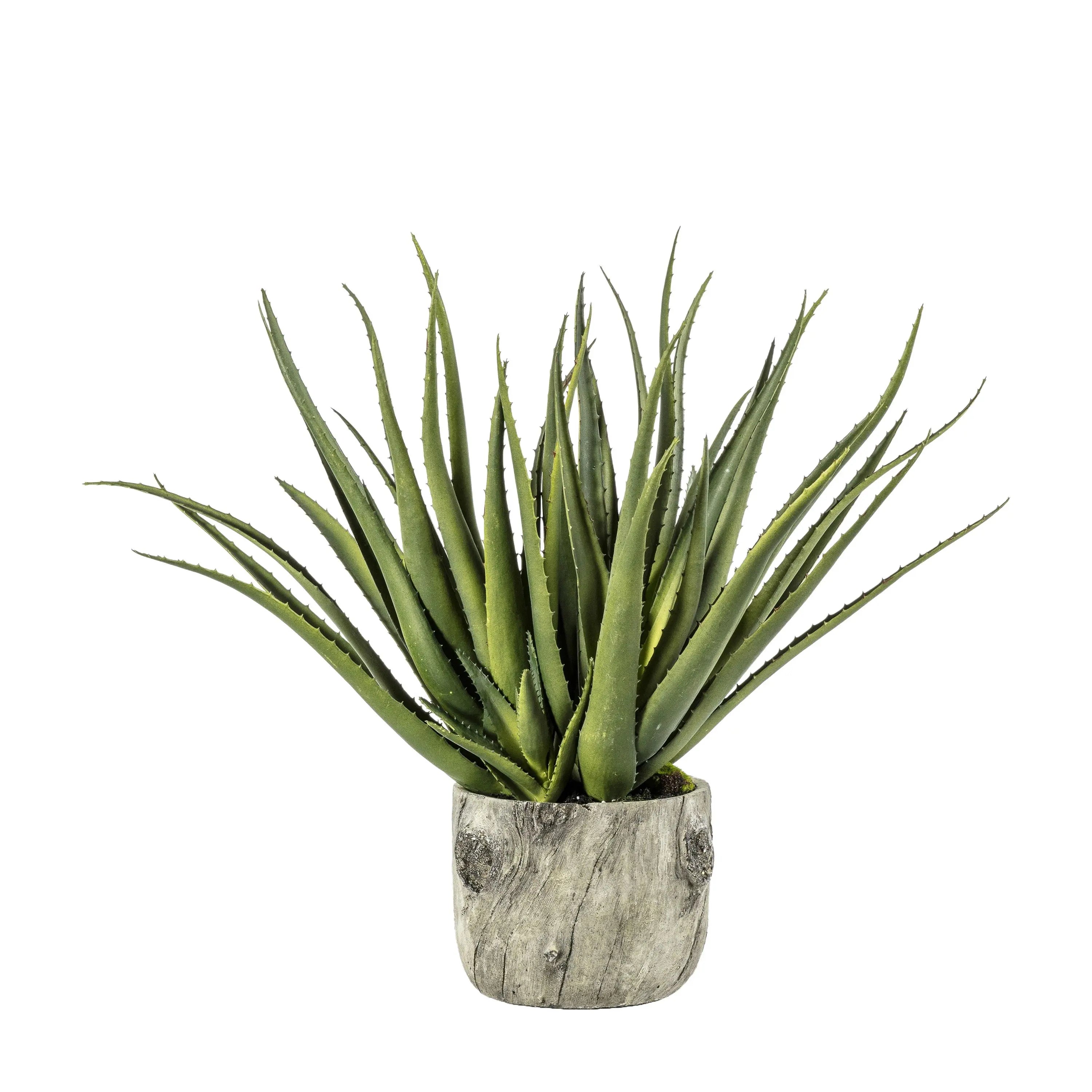 Aloe Bark Effect Pot – starbursthome