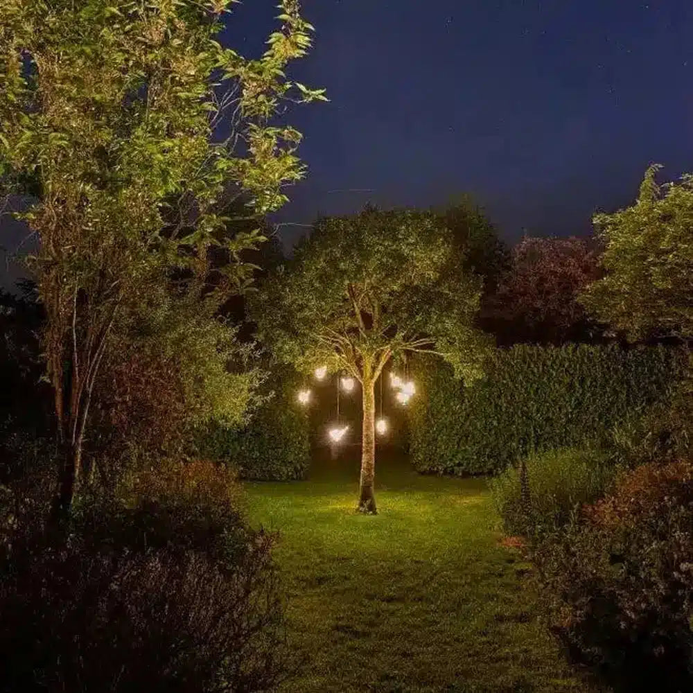 Hanging Robin Lights – starbursthome